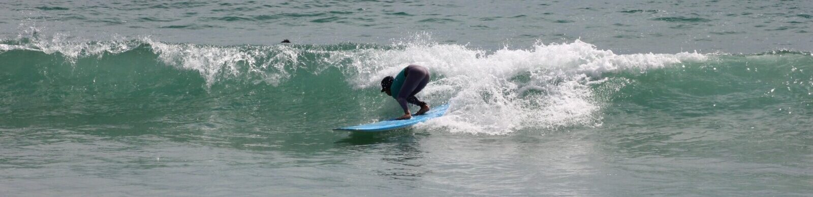 Monthly Mood: Moody - Chasing Calories